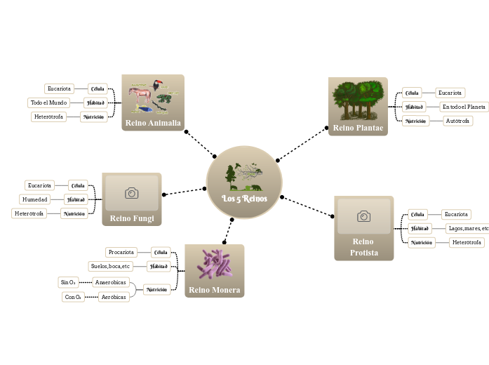 Los 5 Reinos - Mind Map